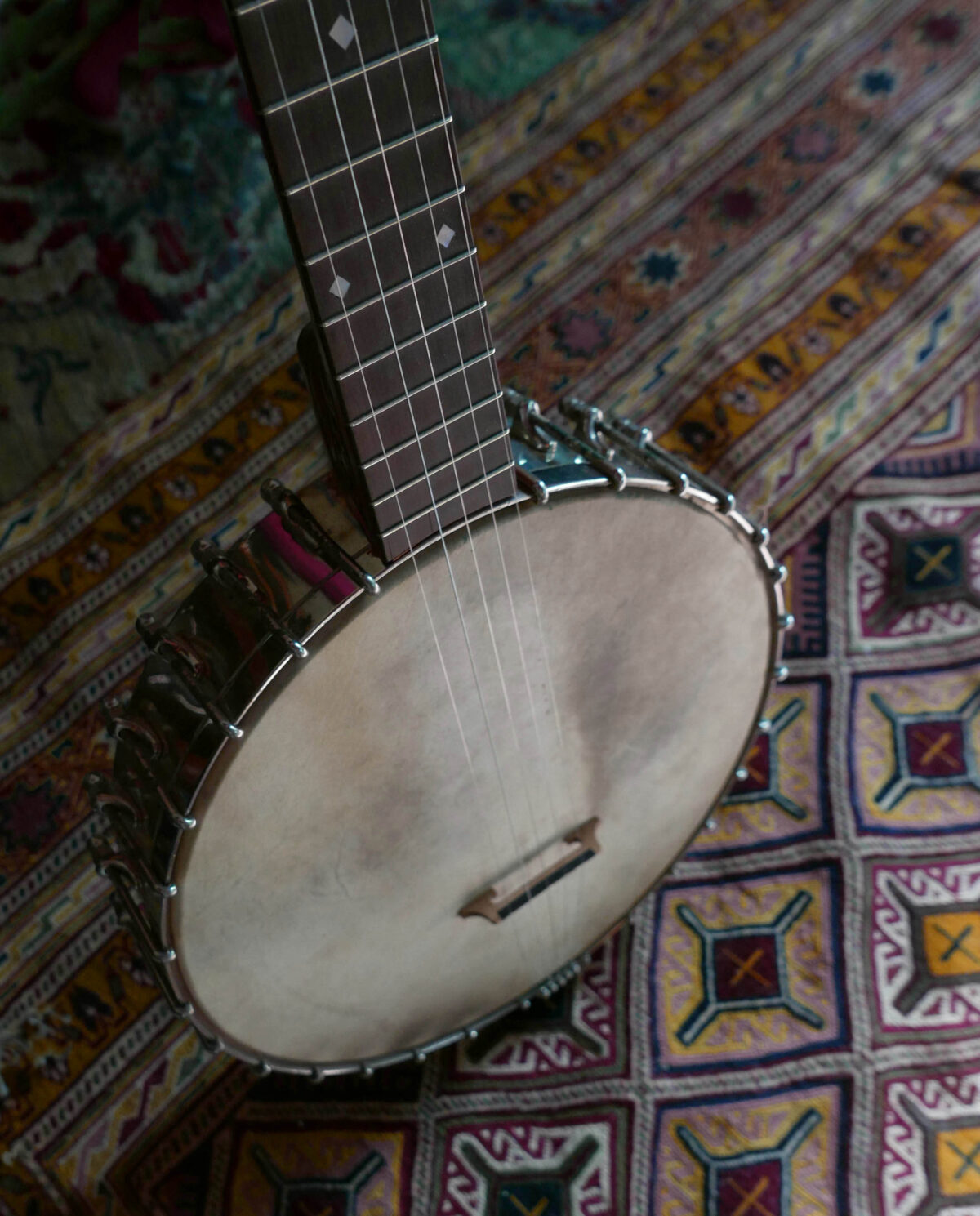 1895 S.S. Stewart “Special Thoroughbred” 5-string banjo - Vintage ...