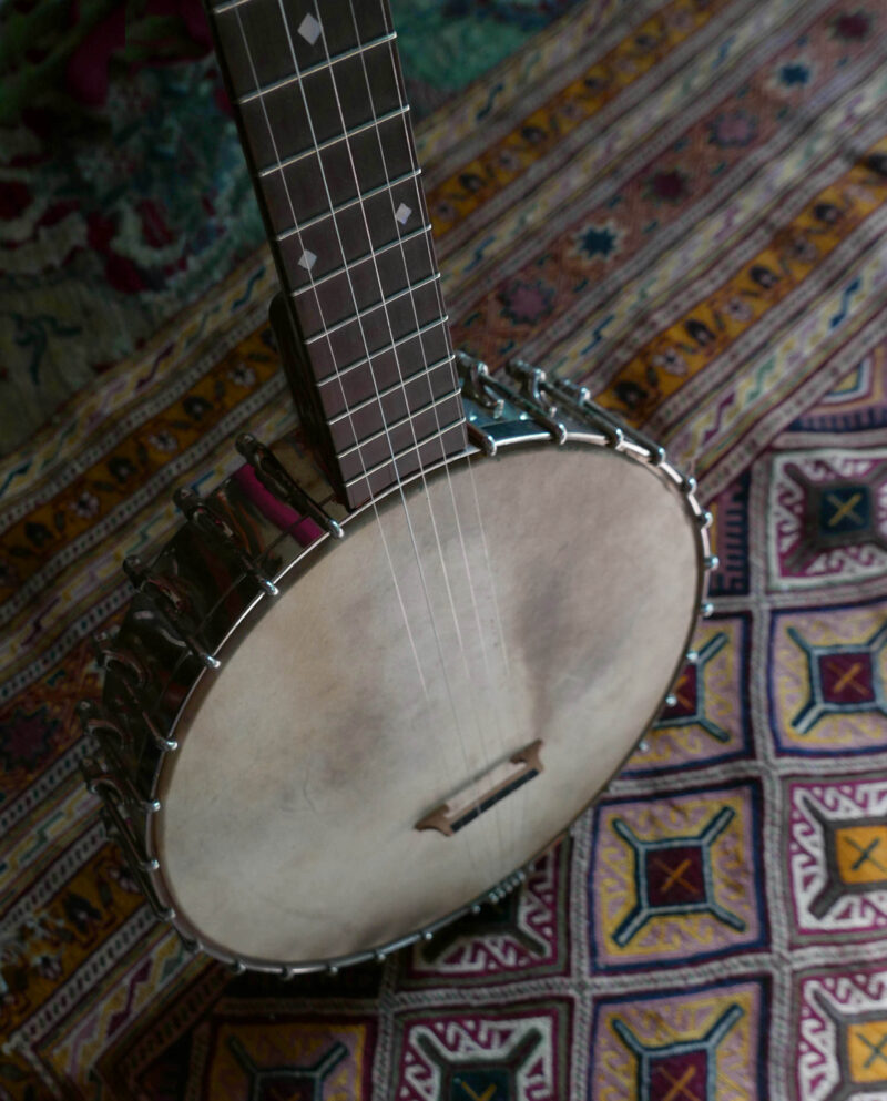 1895 S.S. Stewart “Special Thoroughbred” 5-string banjo - Vintage ...